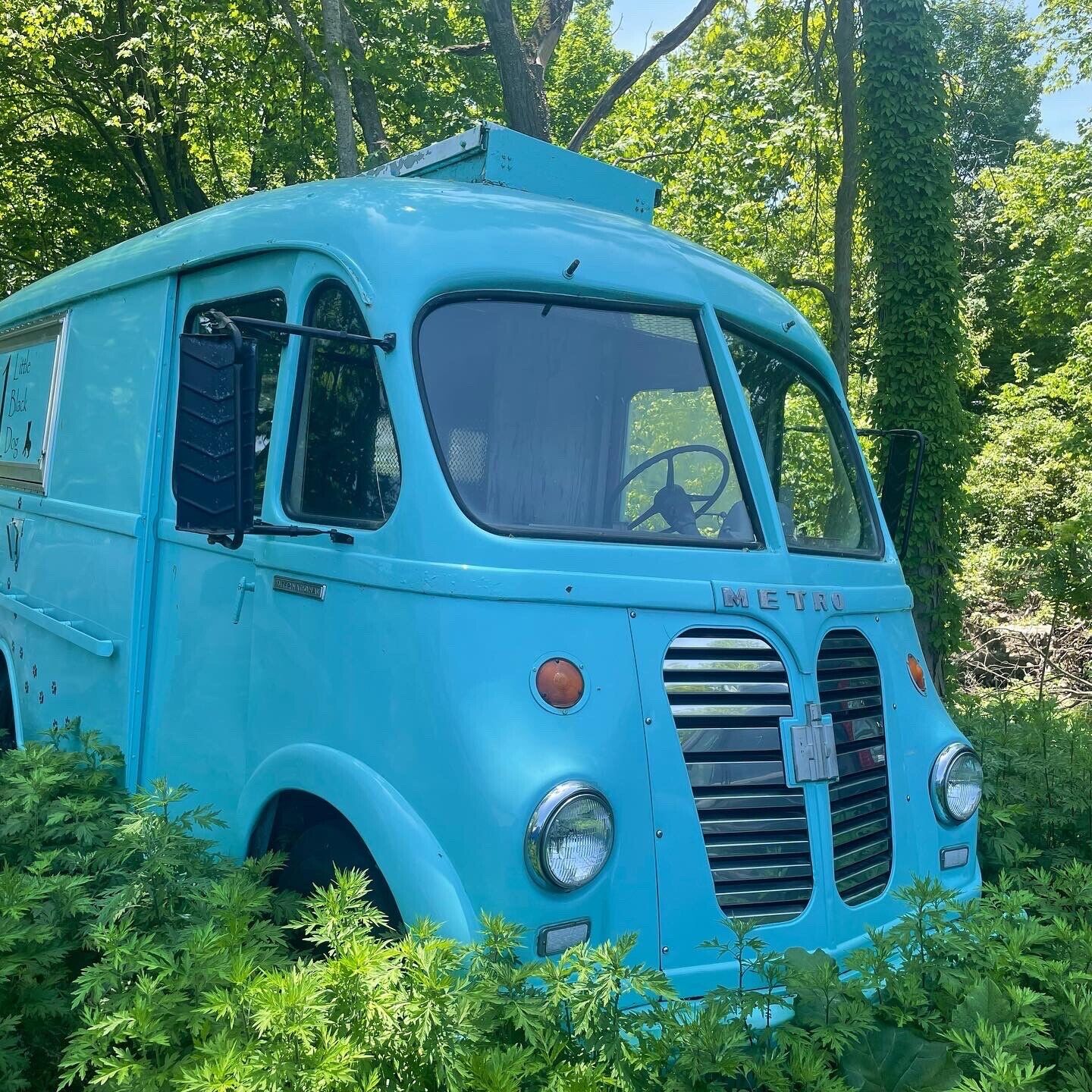 1959 International Metro for sale
