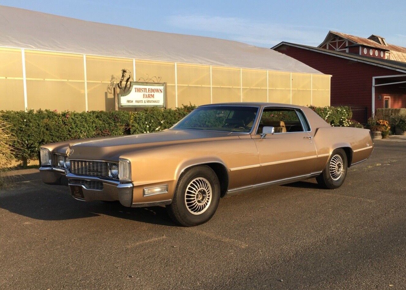 1969 Cadillac Eldorado For Sale